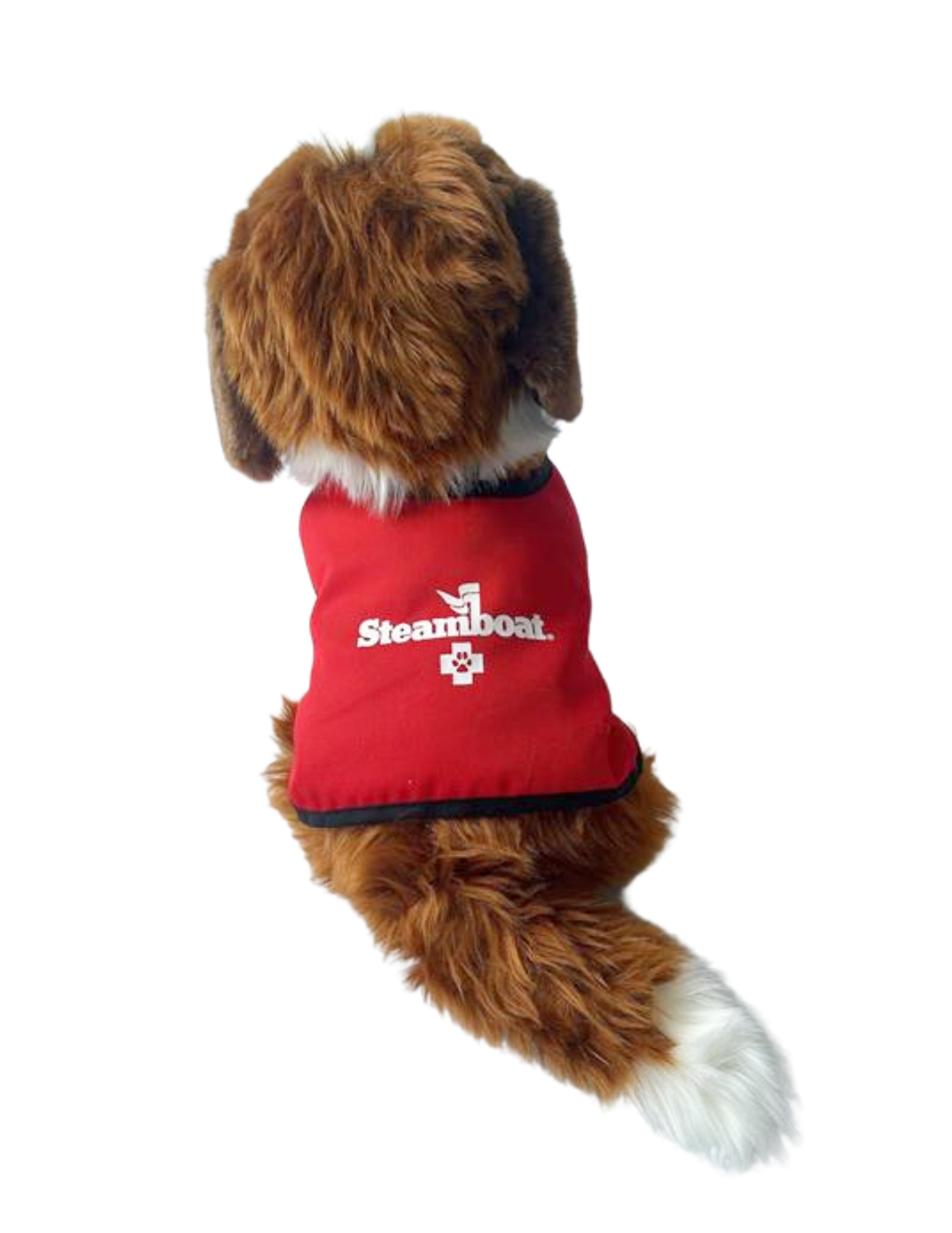 Steamboat Online Retail Store - Online Store for Steamboat Logo Gifts